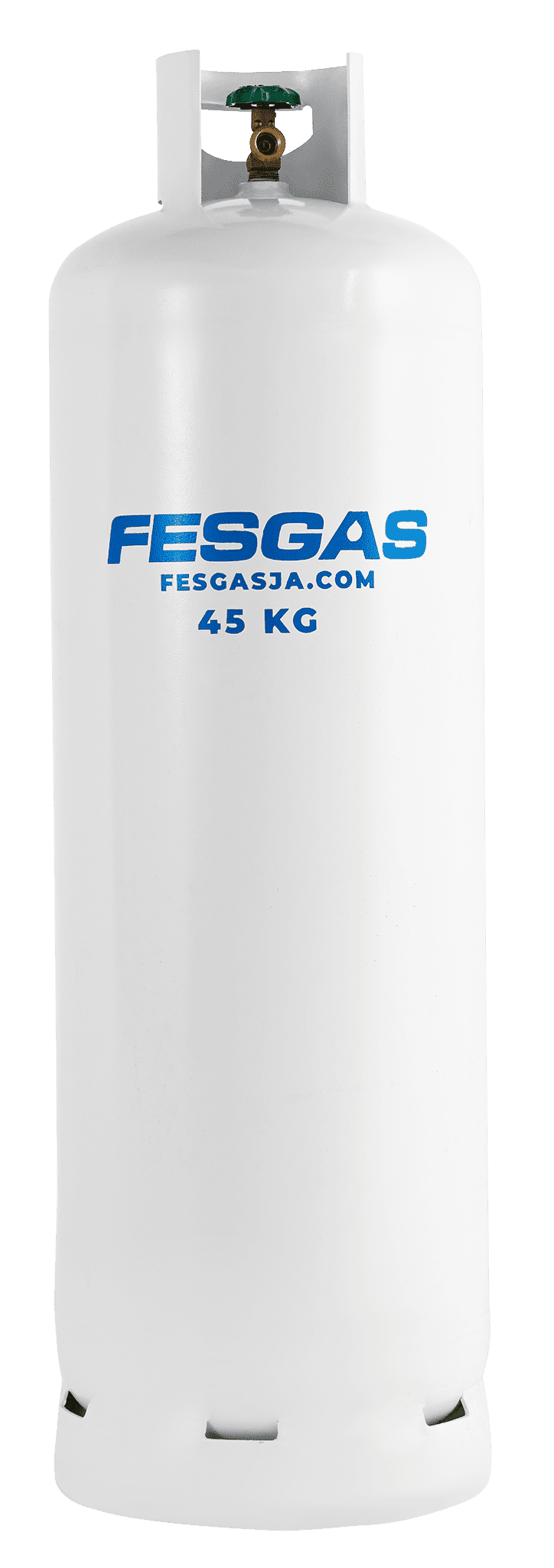 FESGAS - Home
